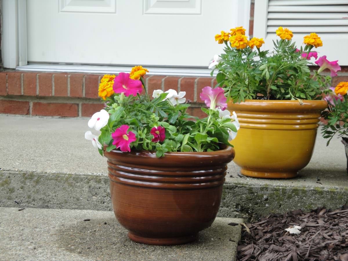 The Beauty and Inspiration of Spring ~ RoseMary Griffith, author